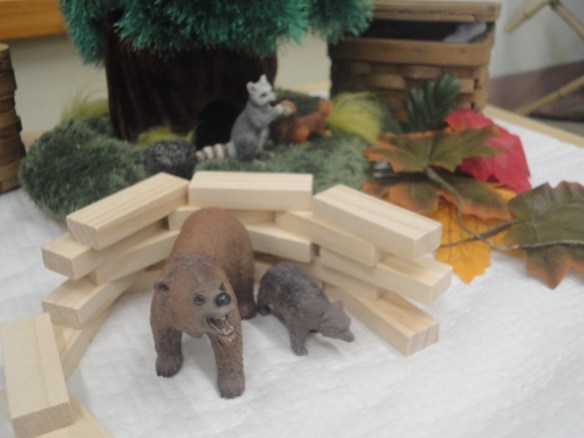 animal homes | The Curious Kindergarten