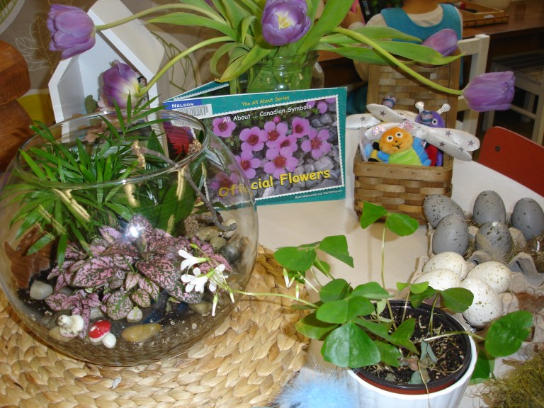 spring inquiry | The Curious Kindergarten