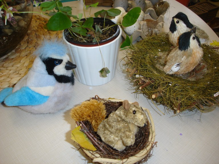 spring inquiry | The Curious Kindergarten