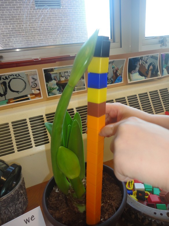 The Curious Kindergarten | Welcome to The Curious Kindergarten, a blog ...