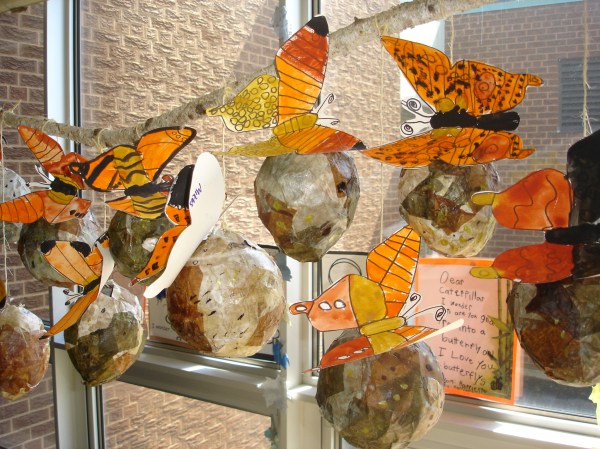 The Butterfly Inquiry | The Curious Kindergarten