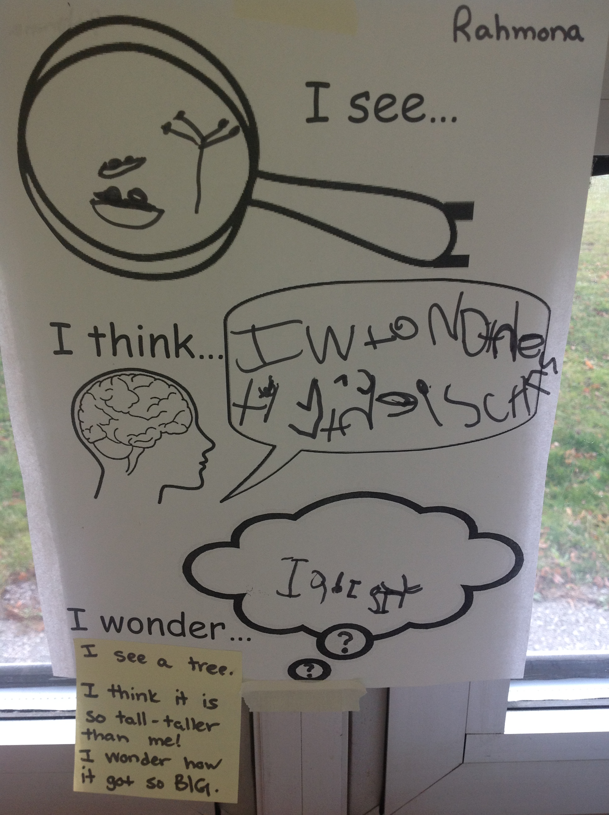 The Wonder Window | The Curious Kindergarten