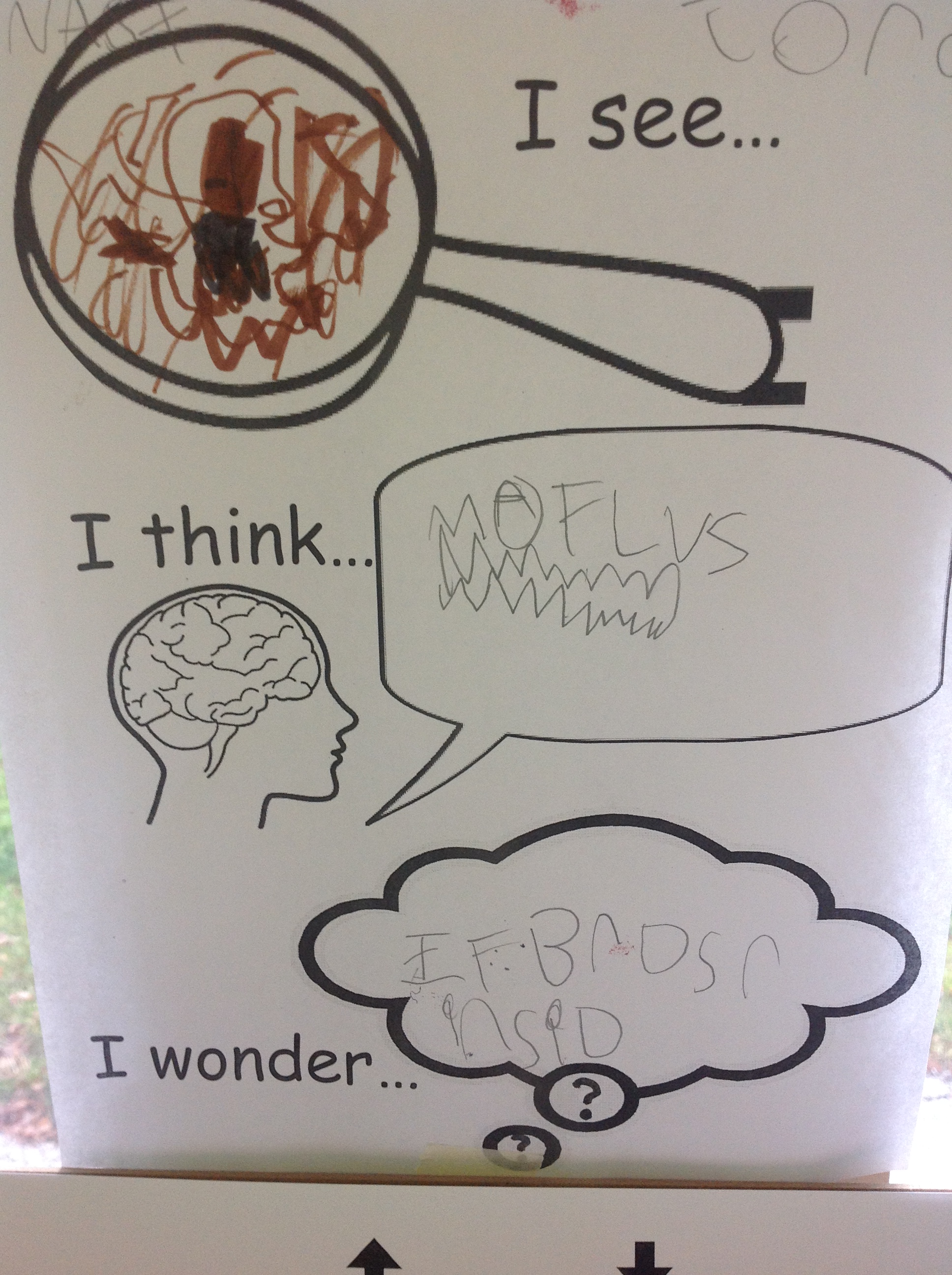 The Wonder Window | The Curious Kindergarten