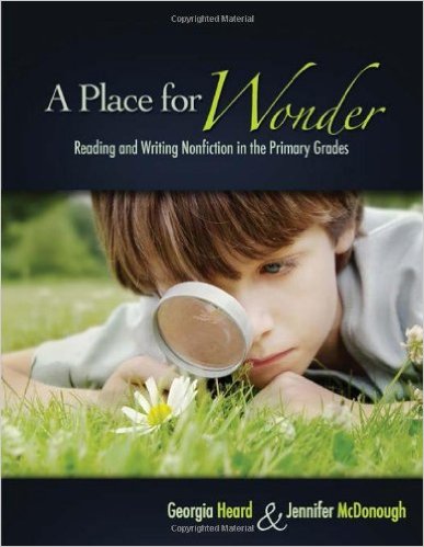 The Wonder Window | The Curious Kindergarten