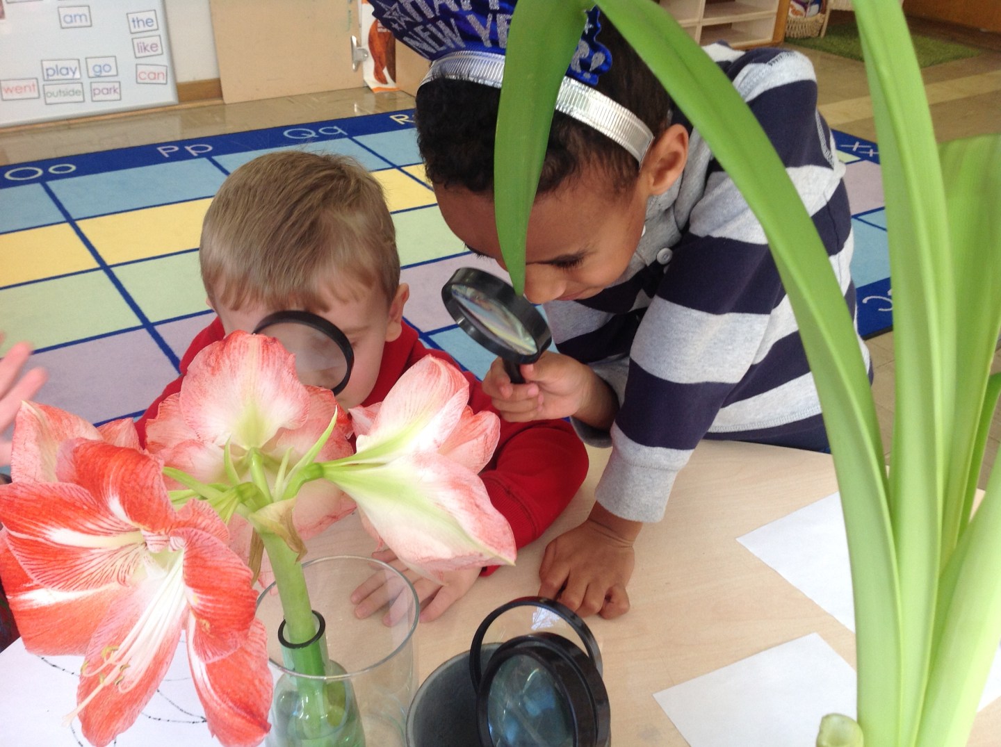 The Mystery Object Inquiry Project | The Curious Kindergarten